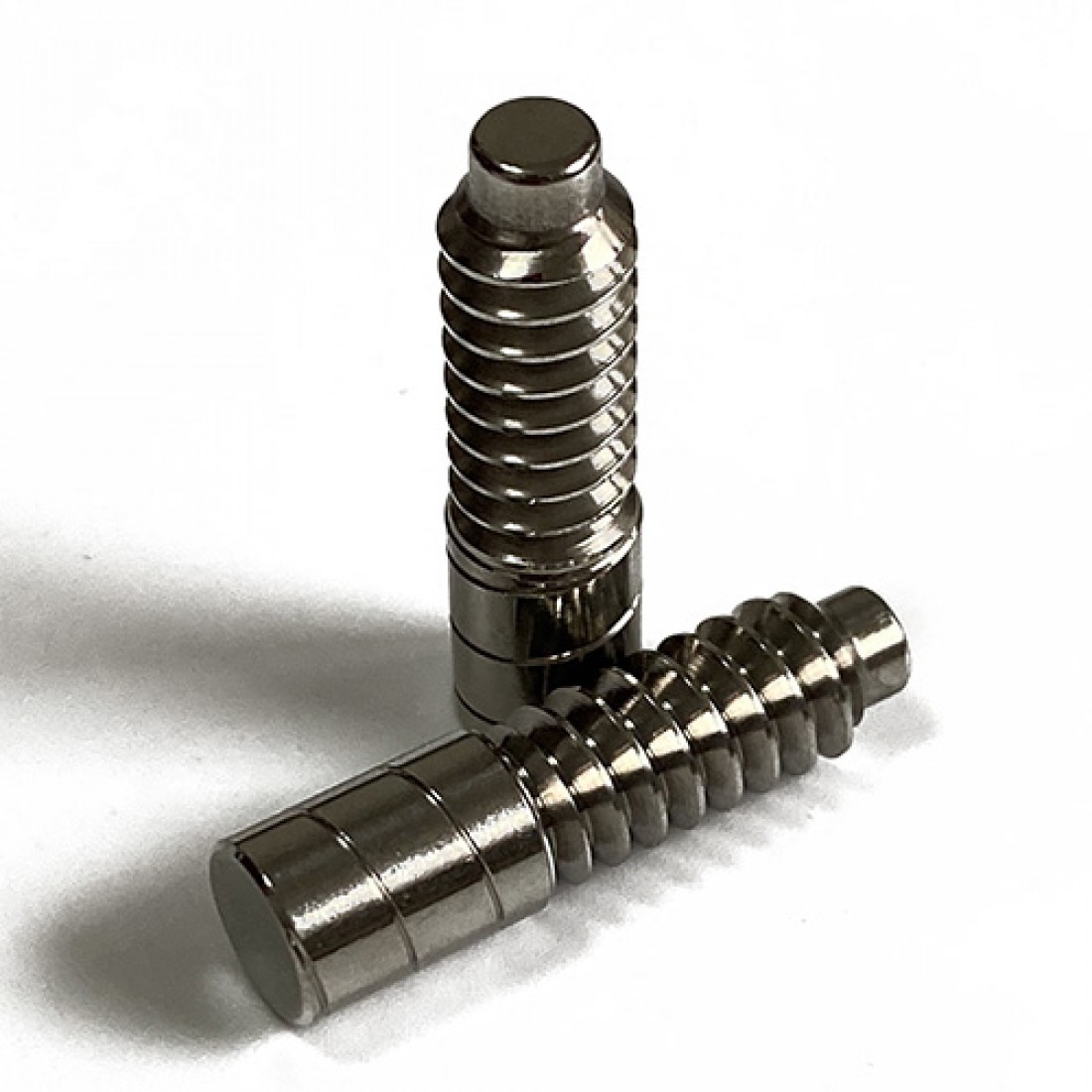 10pcs Stainless Steel 5/16-14 Protector Pins - Polished